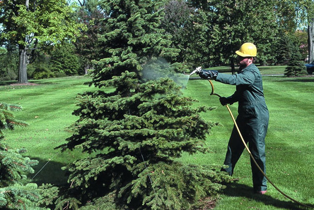 Plant Health Care and Trees - Tree Care Tips