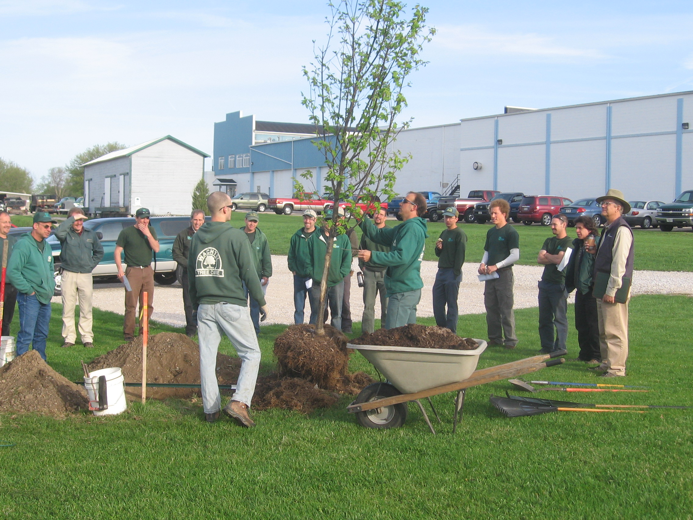 Tree Planting & Transplanting - Tree Care Tips