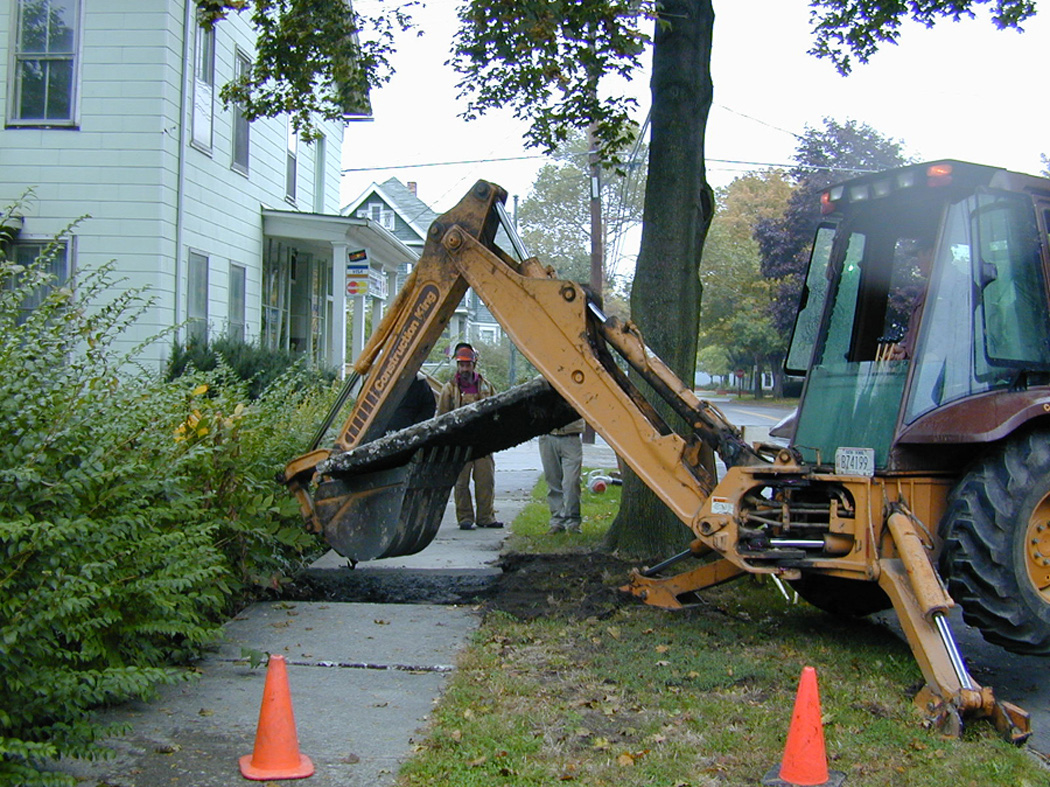 Tree Damage During Construction - Tree Care Tips