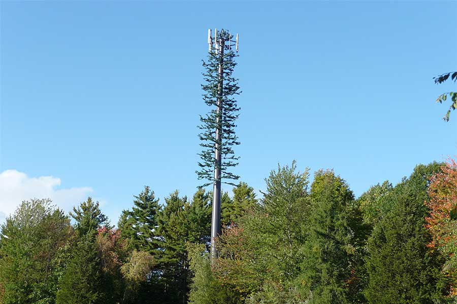 Dressed Up As Trees, Cellular Towers Stir Debate - Tree Care Tips